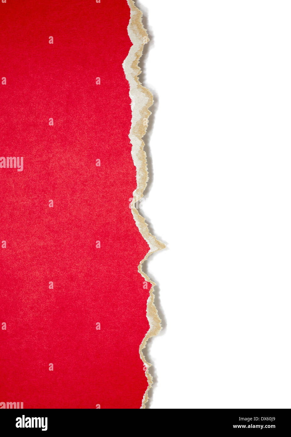 Torn paper border isolated on white Stock Photo - Alamy