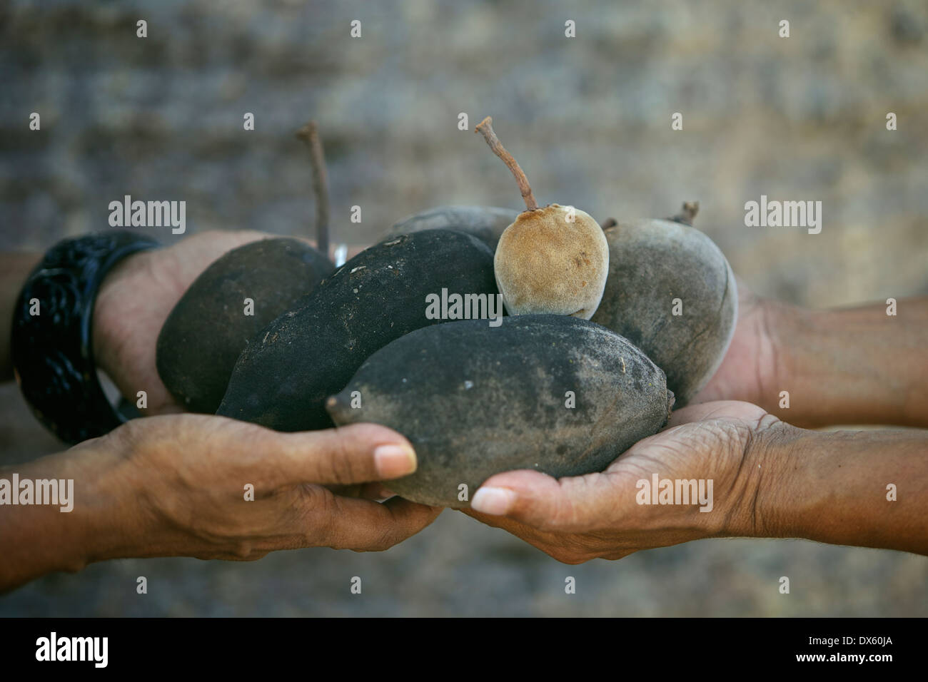 Boab hi-res stock photography and images - Alamy