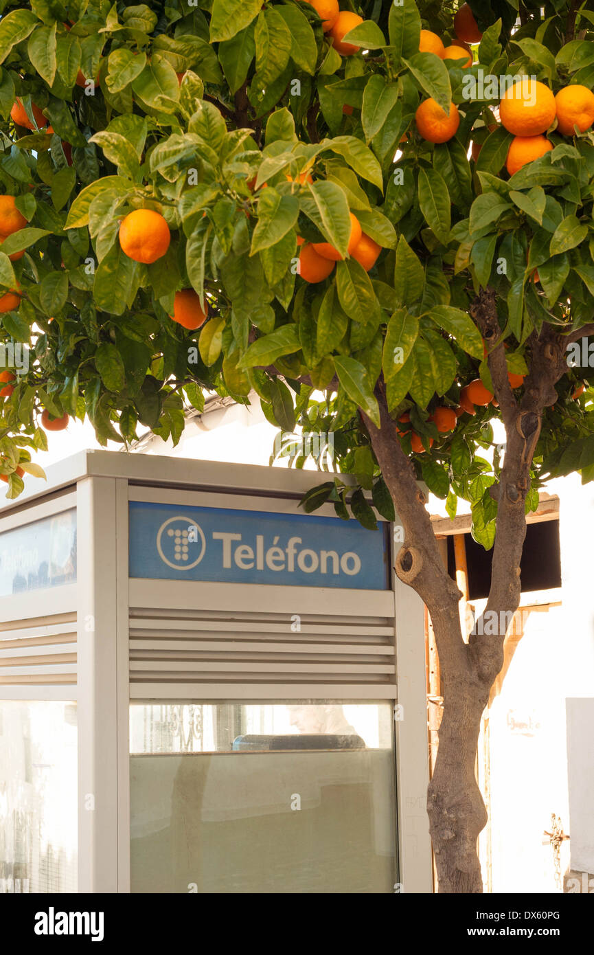 Telephono box hi-res stock photography and images - Alamy