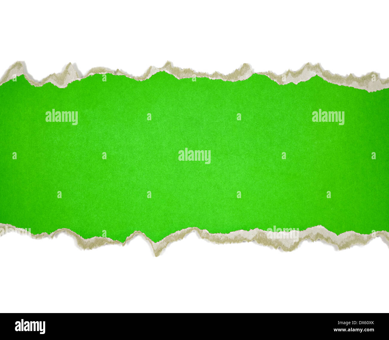 Torn paper borders isolated on white Stock Photo - Alamy