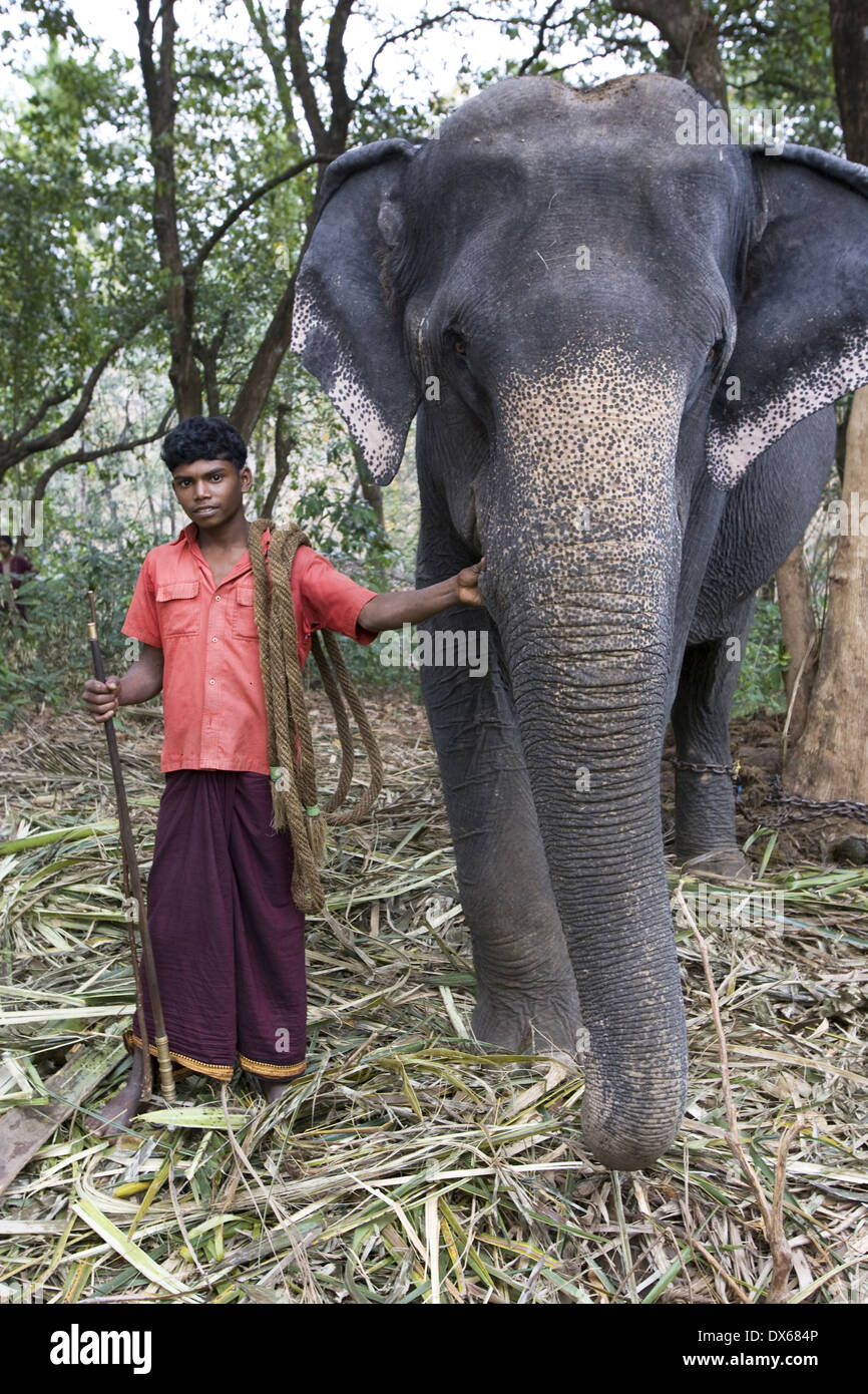 India country boys hi-res stock photography and images - Alamy