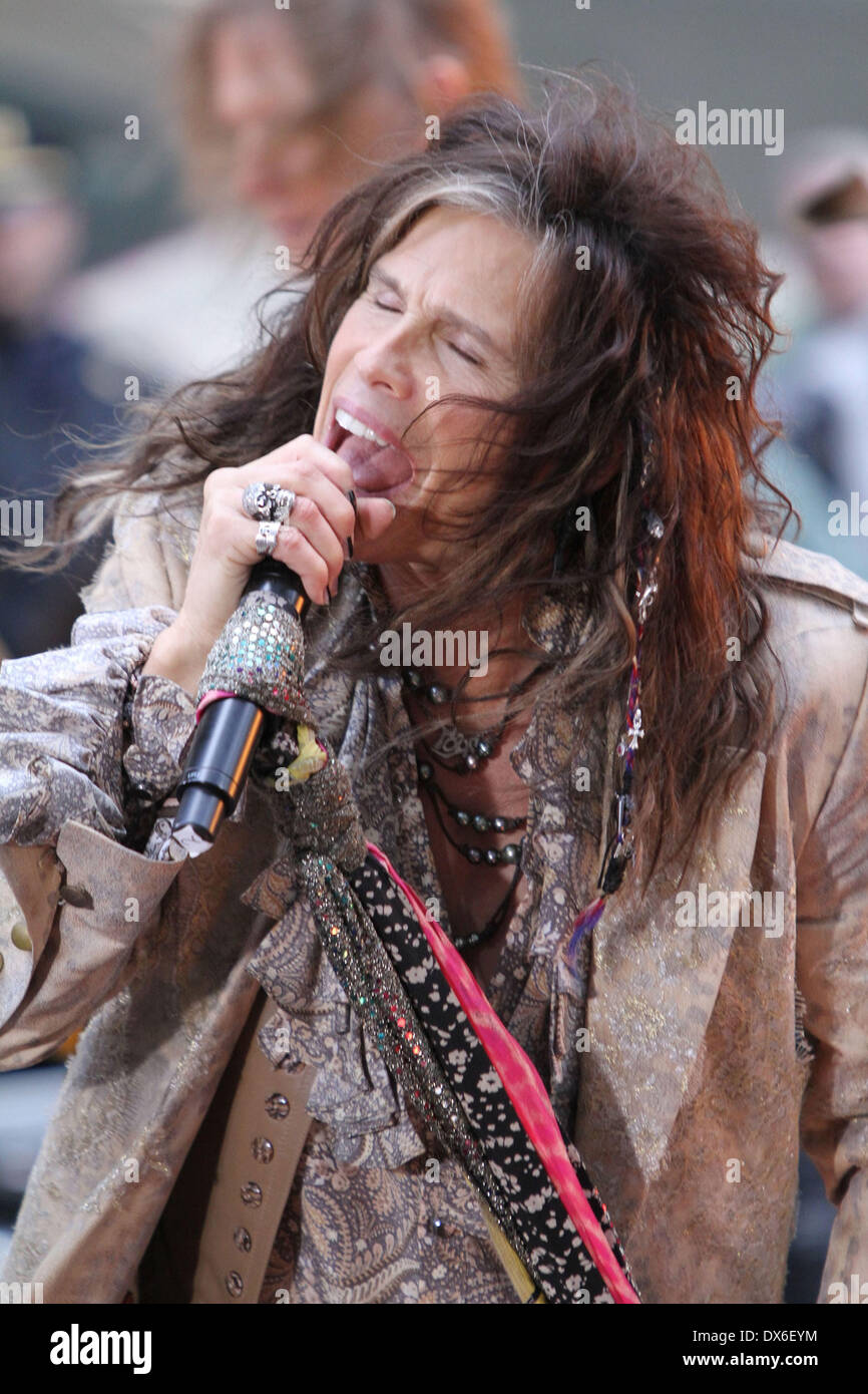 Steven Tyler Microphone