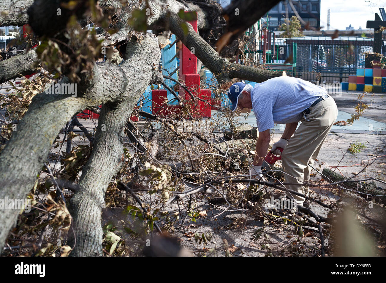 Atmosphere Work continues on a large tree that has fallen onto the ...