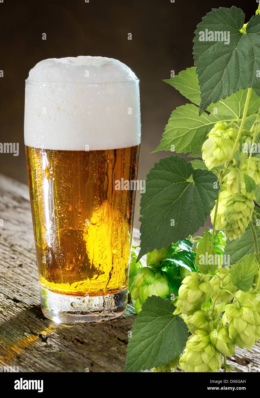 glass of beer and raw material for beer production Stock Photo - Alamy
