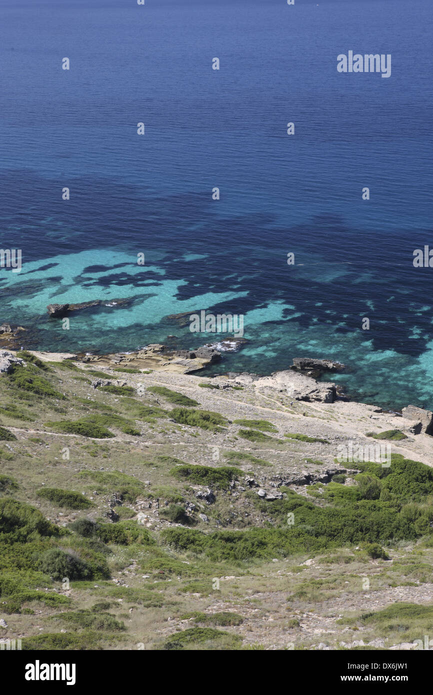 Majoris hi-res stock photography and images - Alamy