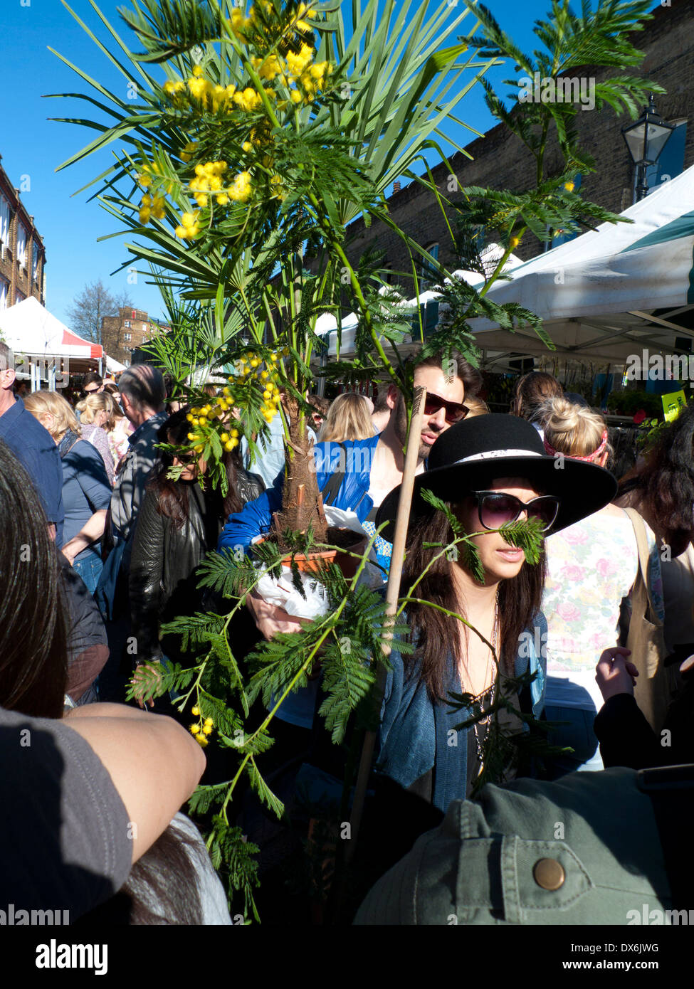 Woman in black hat carrying a flowering palm plant with yellow flowers ...