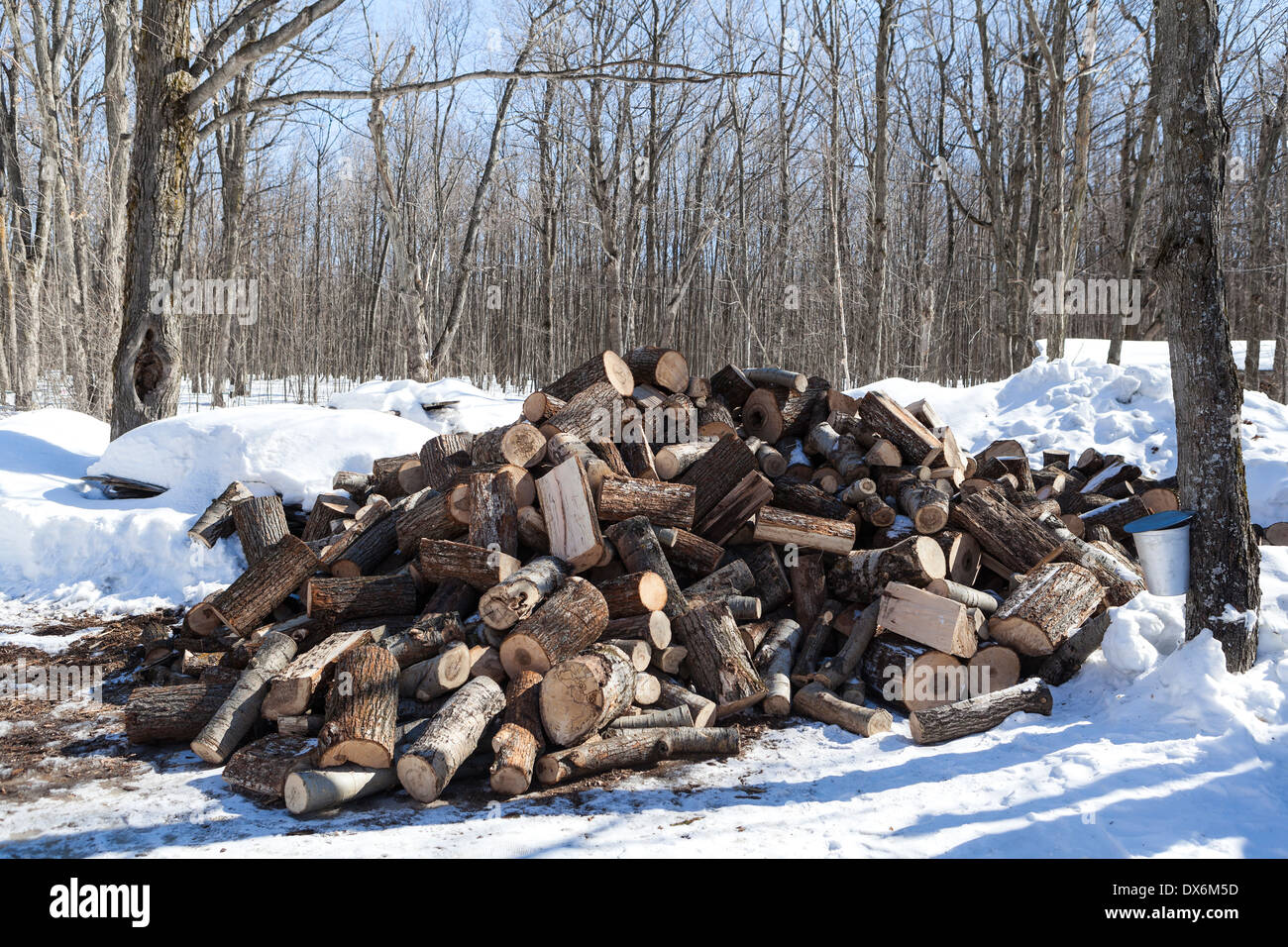Fire pile hi-res stock photography and images - Alamy