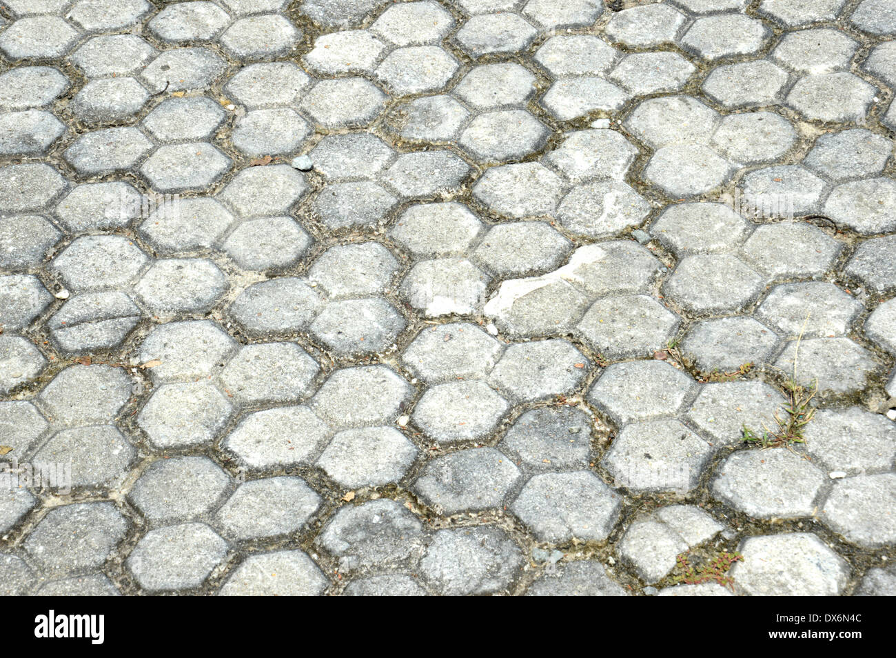 Brick octagonal walkway pavement texture hi-res stock photography and ...