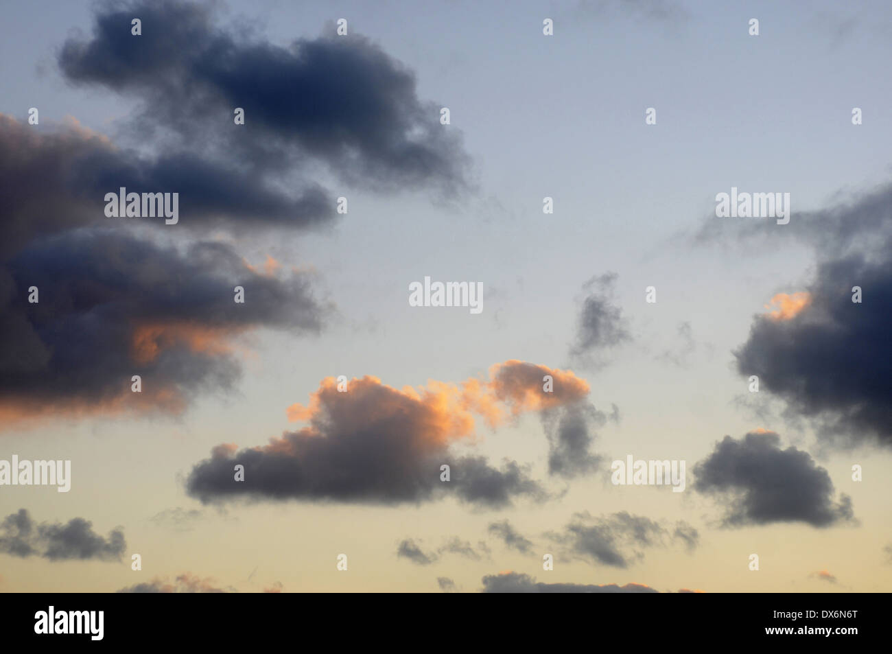 Sunlight on clouds in the sky. View from the ground Stock Photo - Alamy