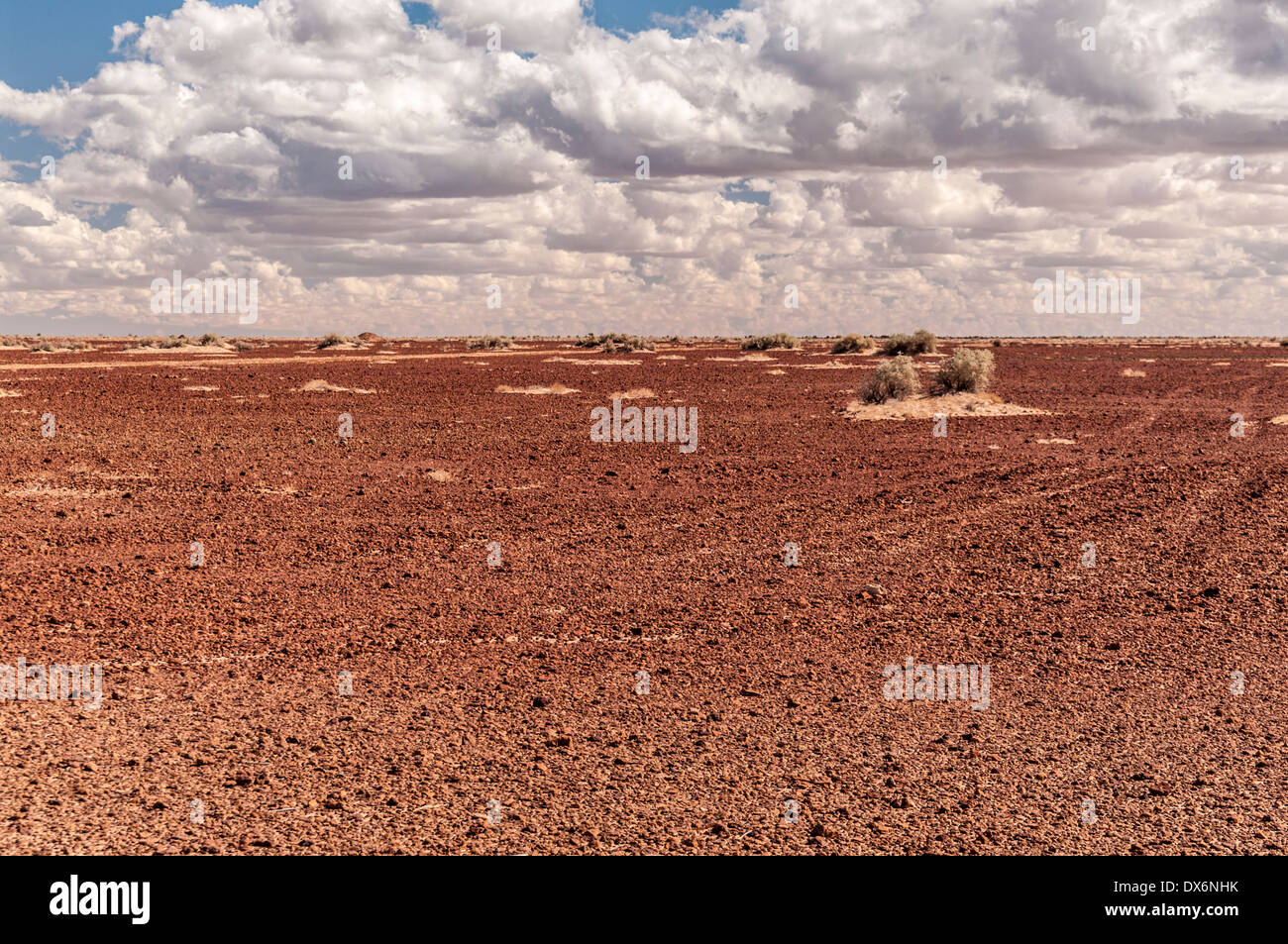 STURT STONY DESERT, NORTH EAST SOUTH AUSTRALIA, AUSTRALIA Stock Photo ...