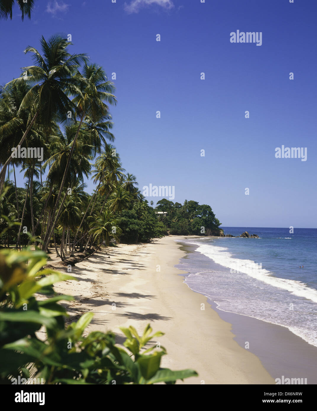 Blanchisseuse Beach Tirindad Caribbean,Blanchisseuse Beach Tirindad ...