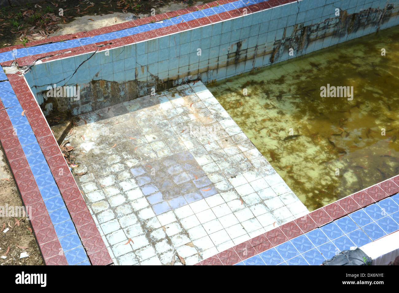 Empty Neglected Swimming Pool High Resolution Stock Photography and ...