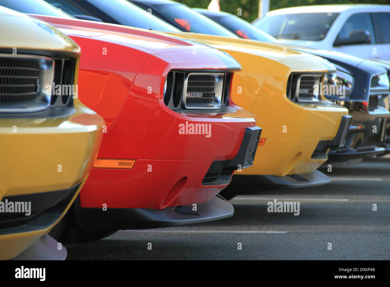 Dodge Challenger Cars Stock Photo - Alamy