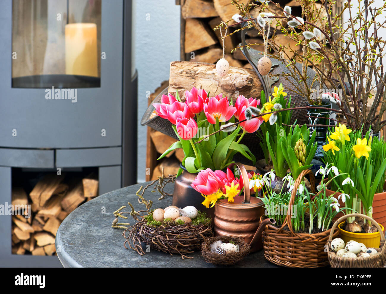 easter decoration. interior with colorful spring flowers. tulips ...