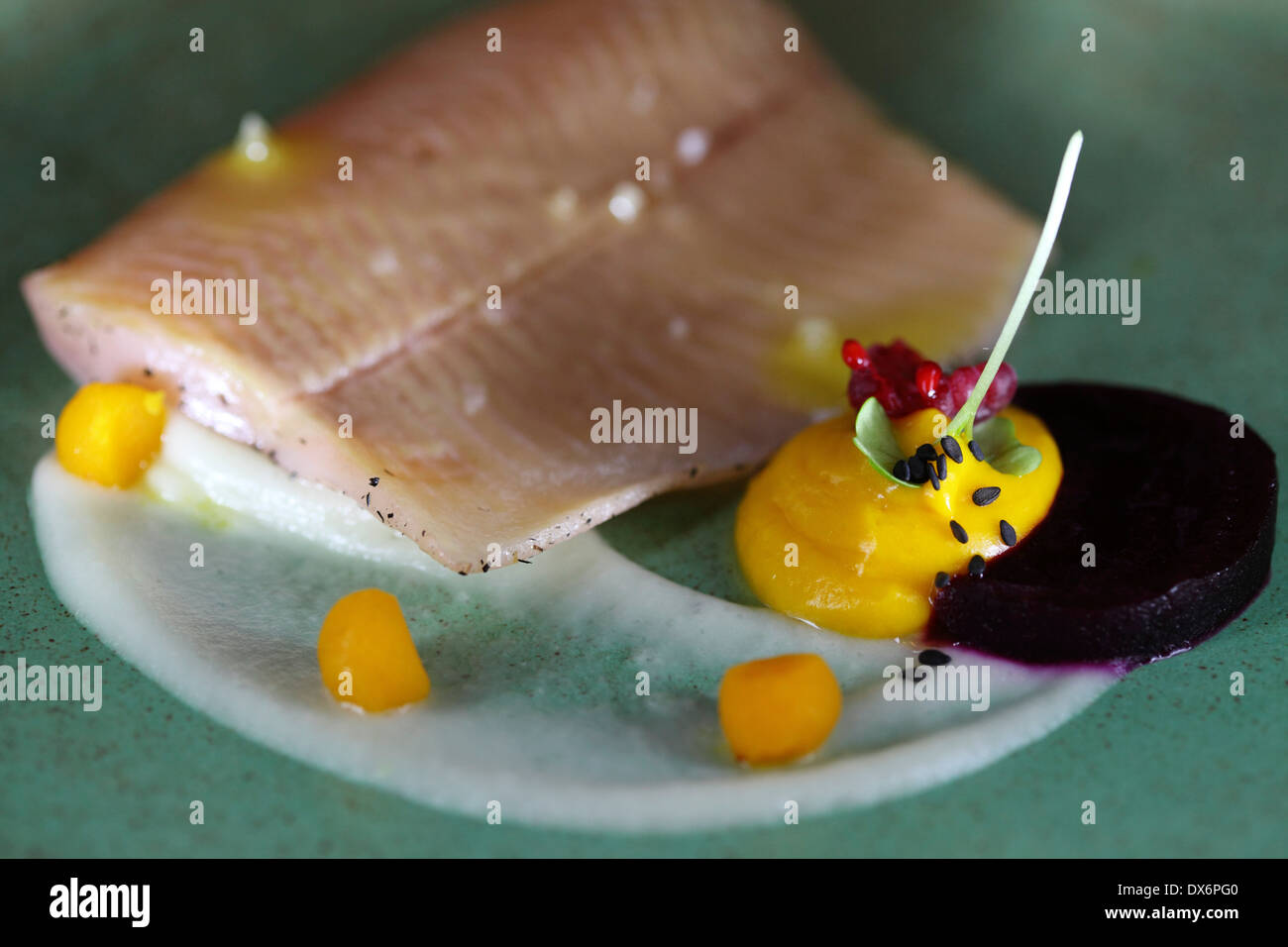 Smoked Ilm river trout with beetroot, pumpkin and kohlrabi served in ...