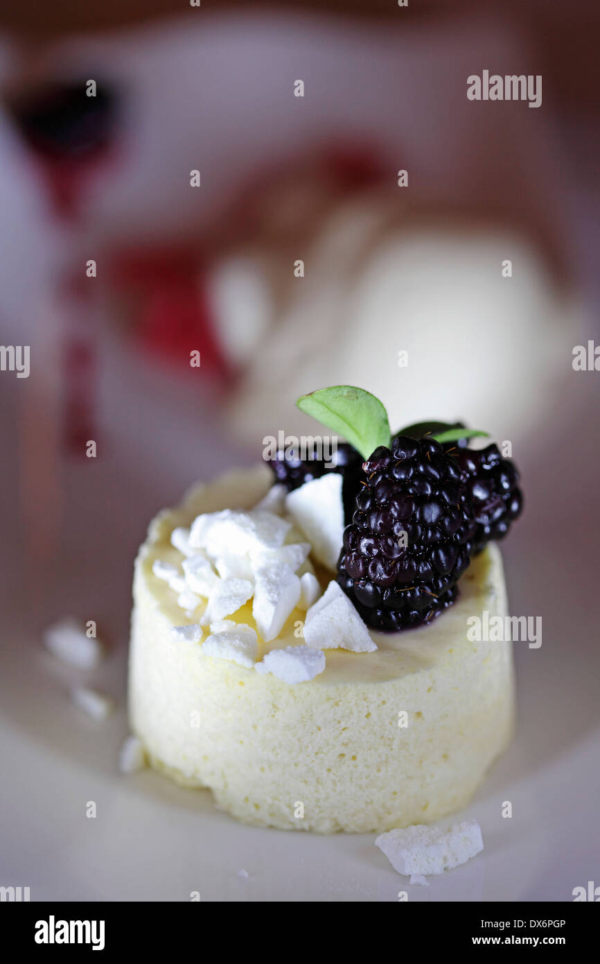 Blackcurrant with mousse served at dessert in the Alt Weimar restaurant ...