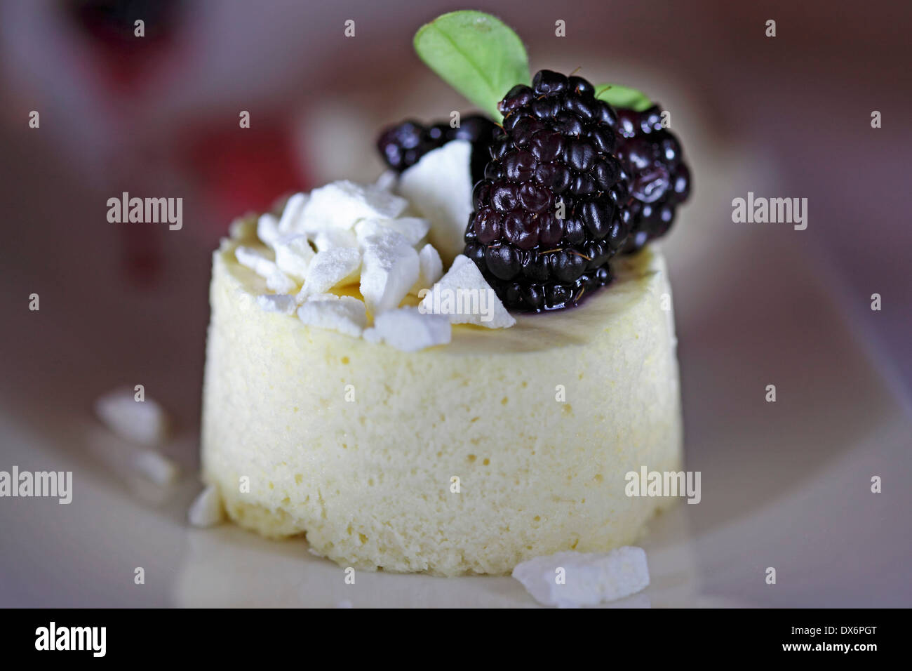 Blackcurrant with mousse served at dessert in the Alt Weimar restaurant ...
