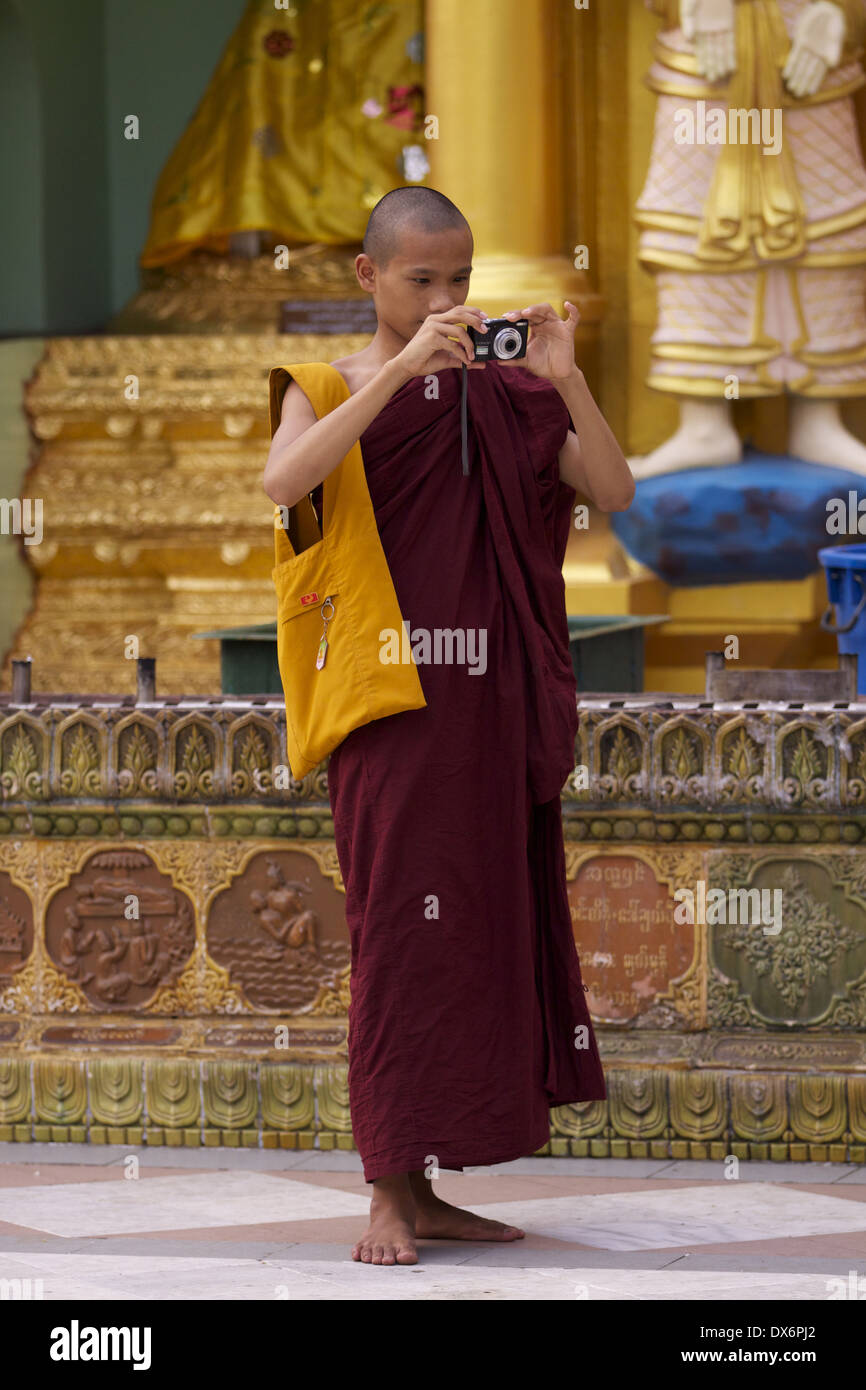 Burmese novice monk in traditional dark red robes photographs friends ...