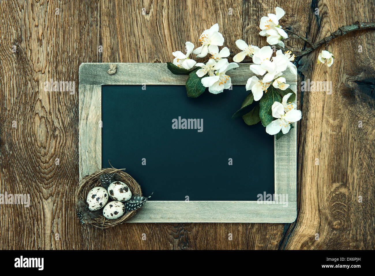 Picture bud apple tree hi-res stock photography and images - Alamy