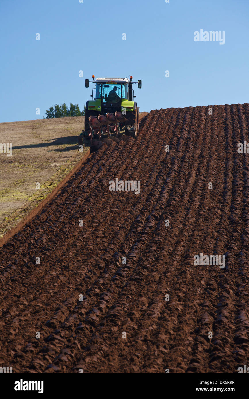 Seed plough hi-res stock photography and images - Alamy