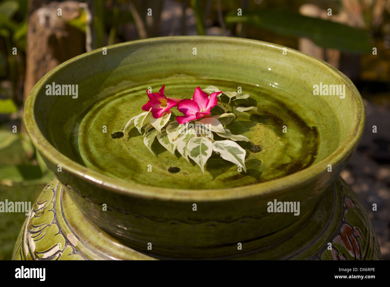 A china urn with floating flowers, in a garden in Burma Stock Photo - Alamy