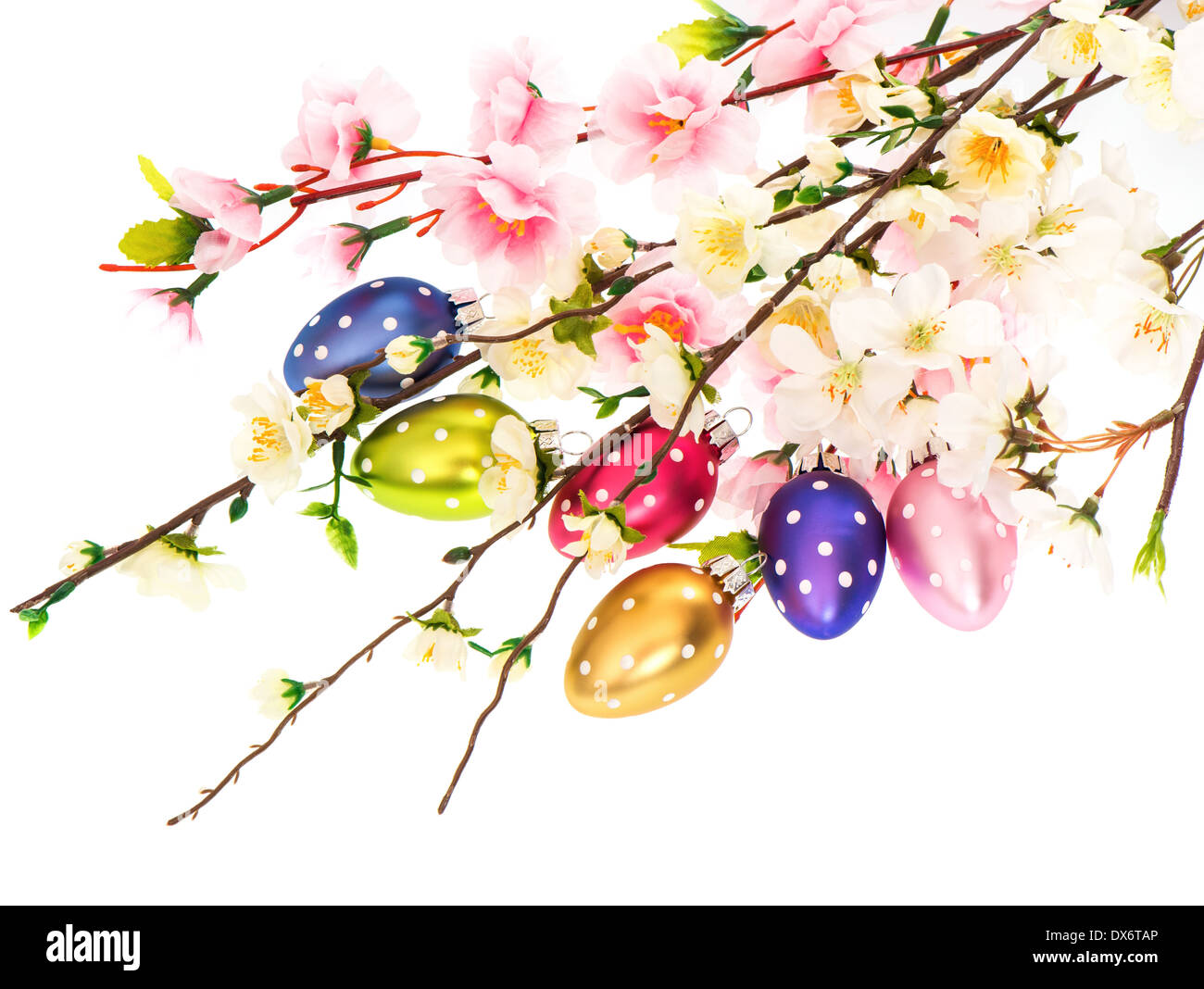End of spring flowers hi-res stock photography and images - Alamy
