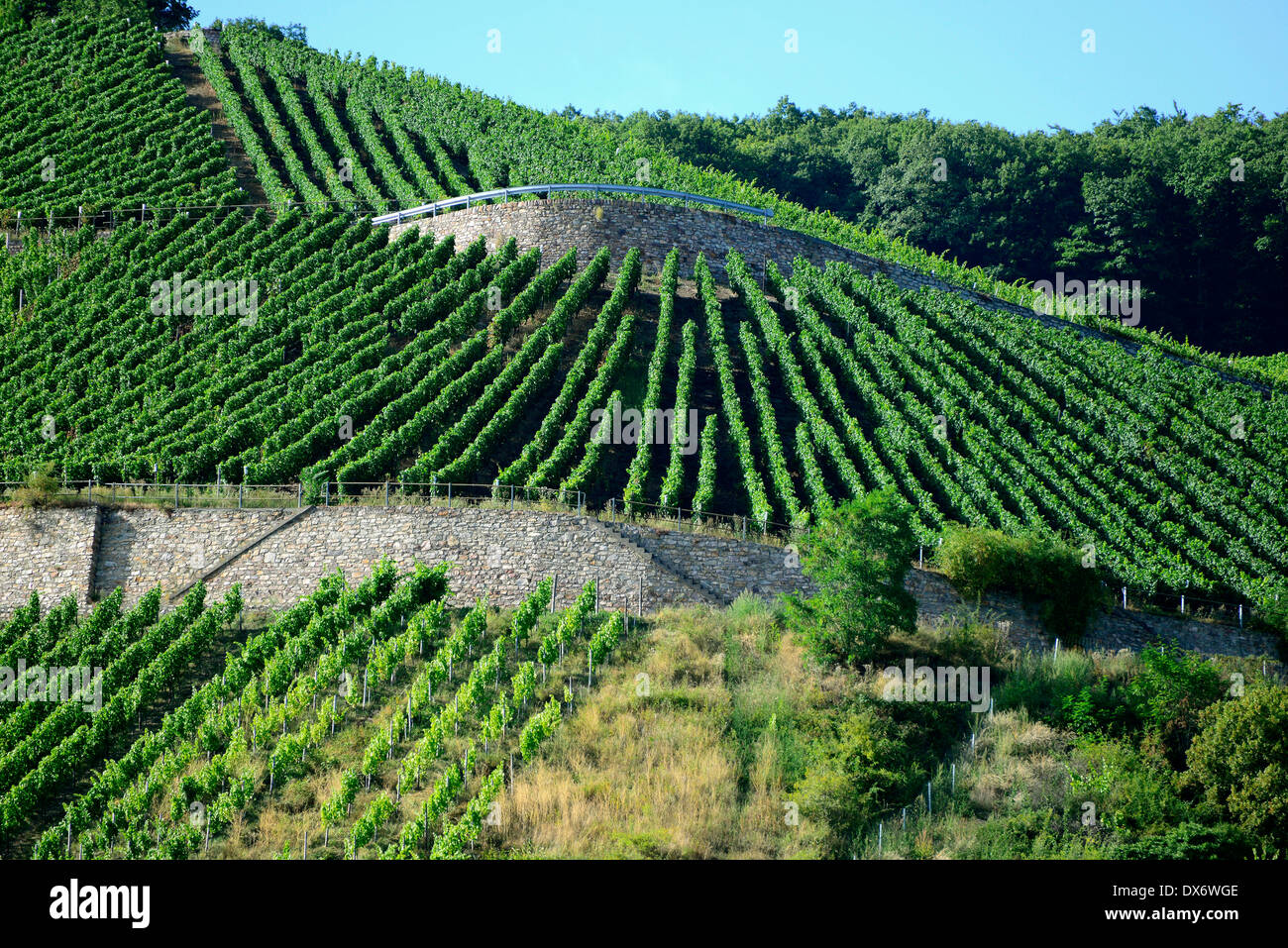 Early winer hi-res stock photography and images - Alamy