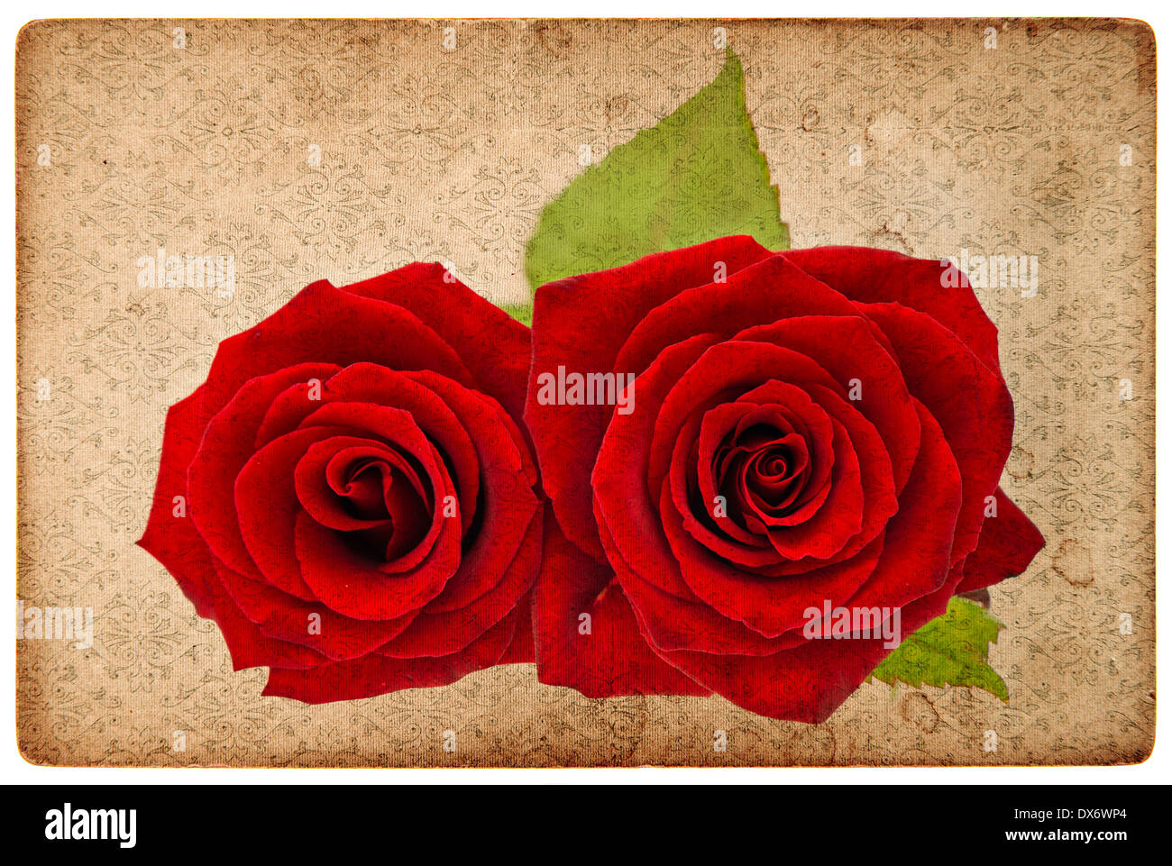 vintage grunge paper card board with red roses Stock Photo - Alamy