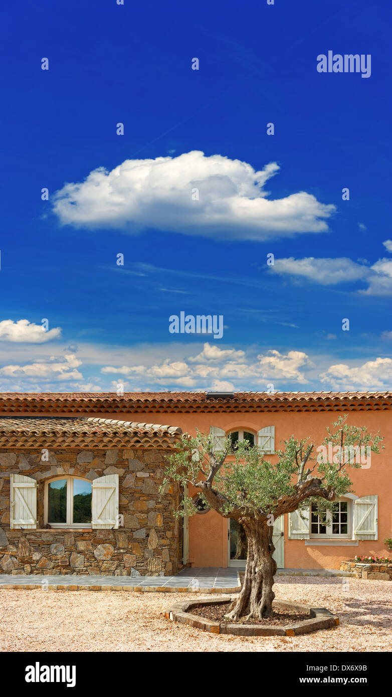 olive tree and typical small vineyard chateau in Provence with blue sky ...