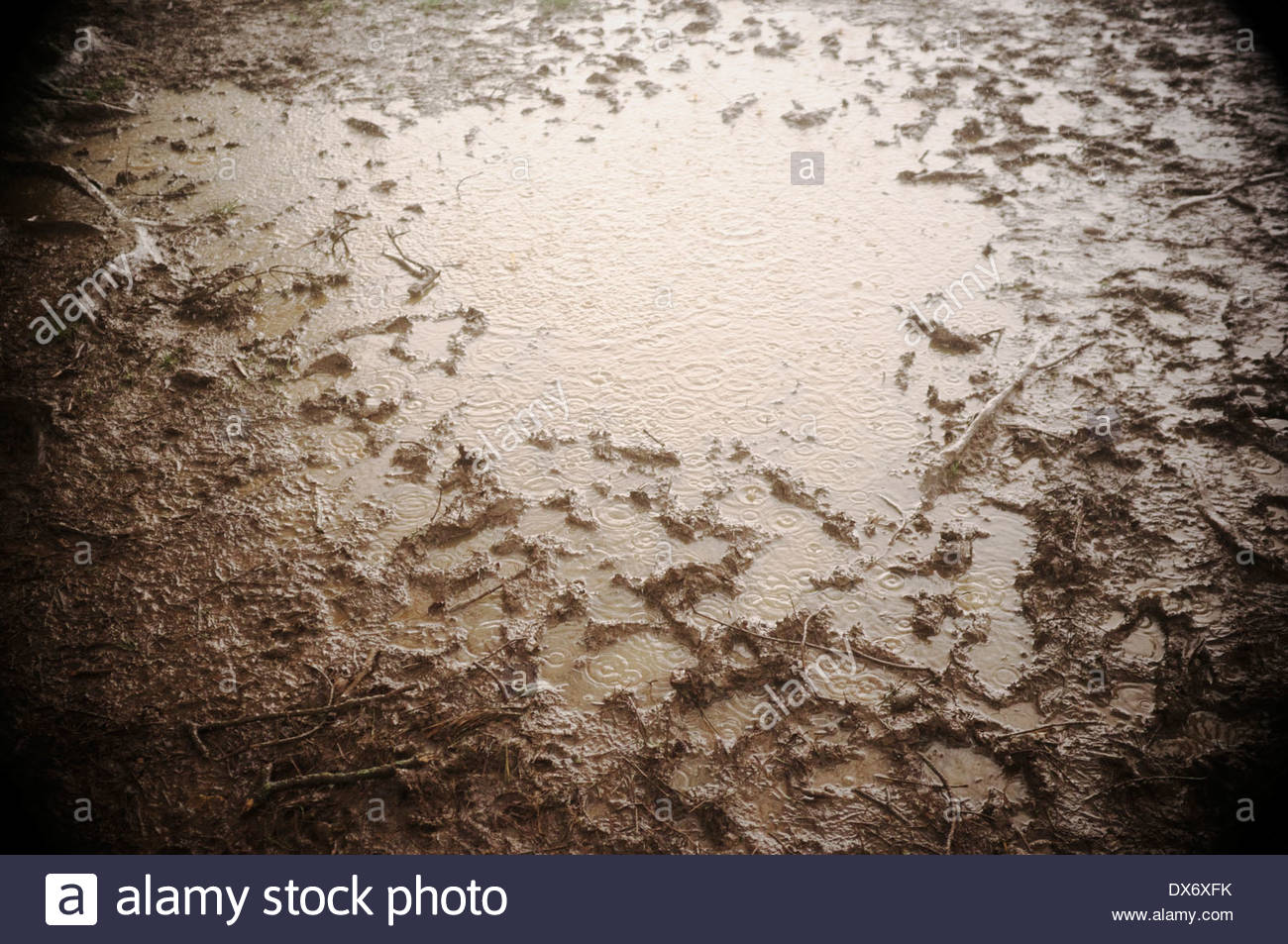 Waterlogged Ground High Resolution Stock Photography and Images - Alamy