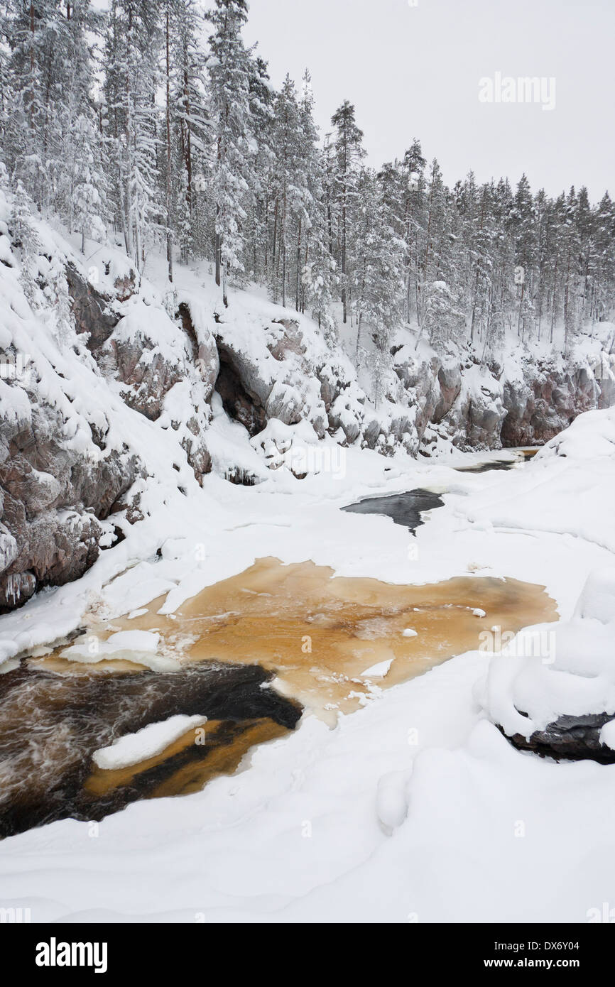 Partly frozen river in snowy forest at winter Stock Photo - Alamy