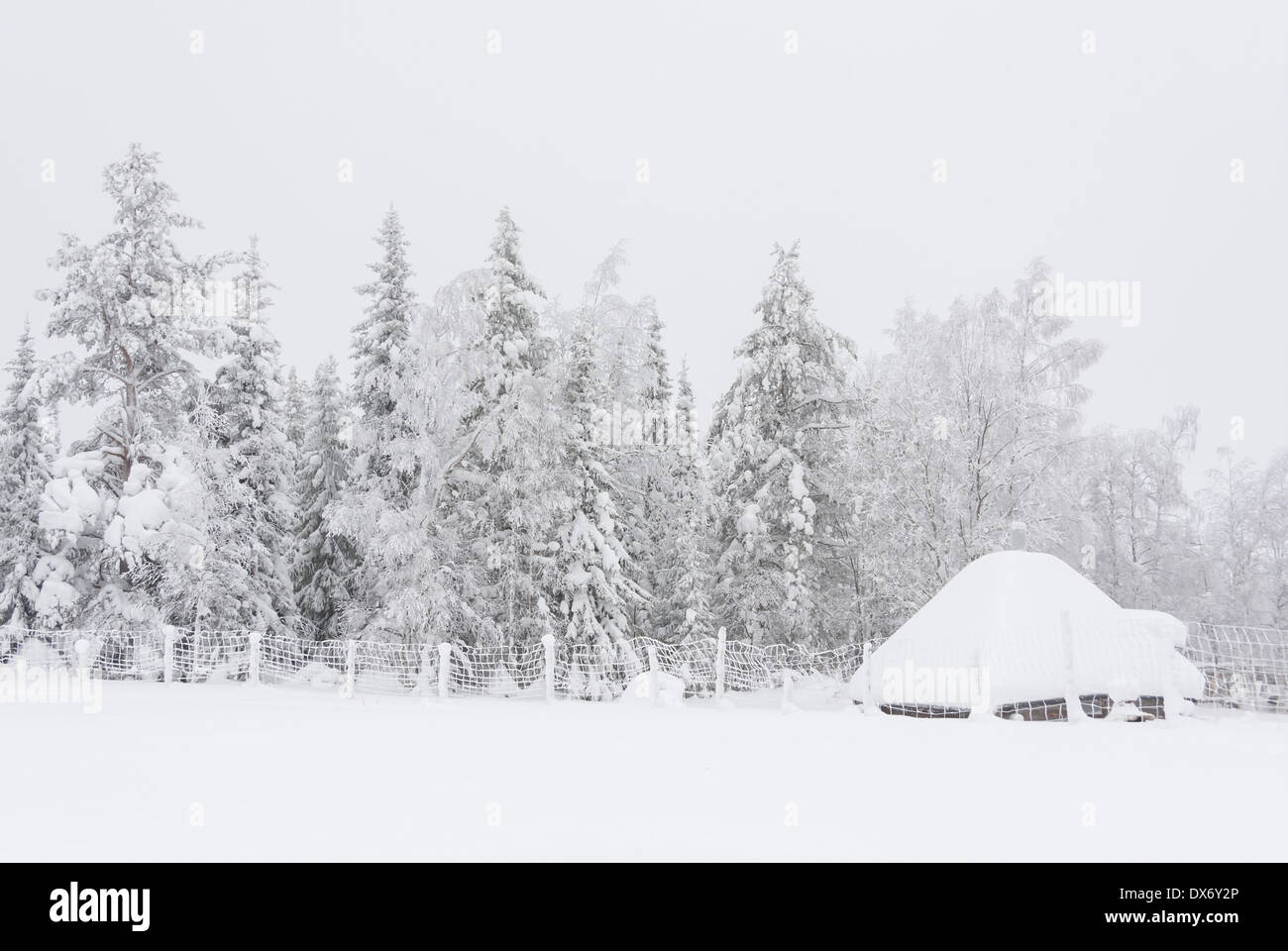 Small hut under thick snow layer in front of snowy forest at winter ...