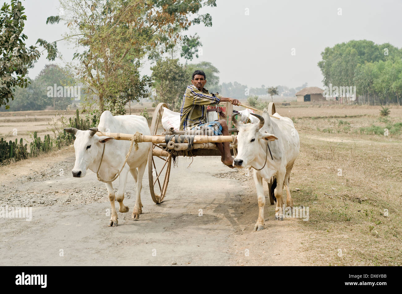 Bullock cart india hi-res stock photography and images - Alamy