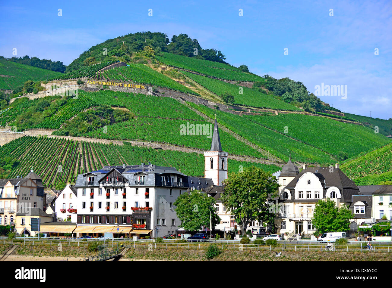 Rhine River Valley Germany Europe Assmannshauser Hollenberg Vineyards ...