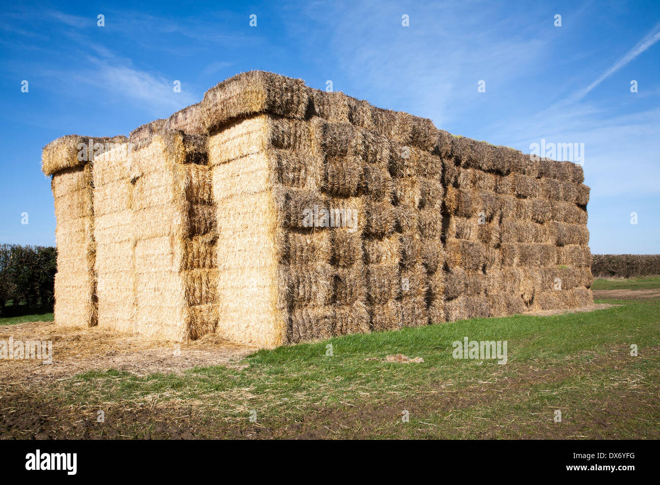 Large straw bales stacked hi-res stock photography and images - Alamy
