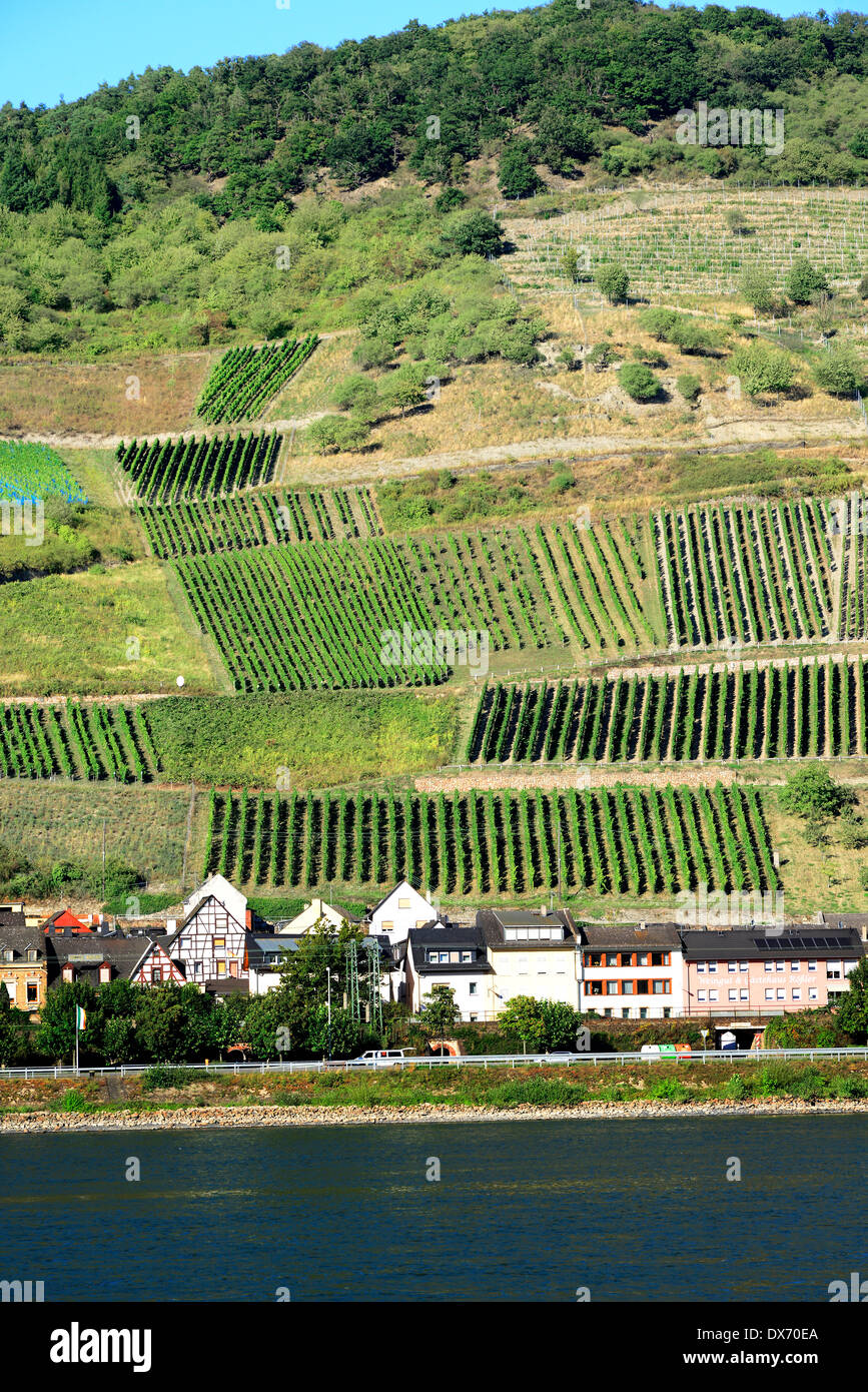 Town on Rhine River Valley Germany Europe Vineyards Wineries Cruise DE ...