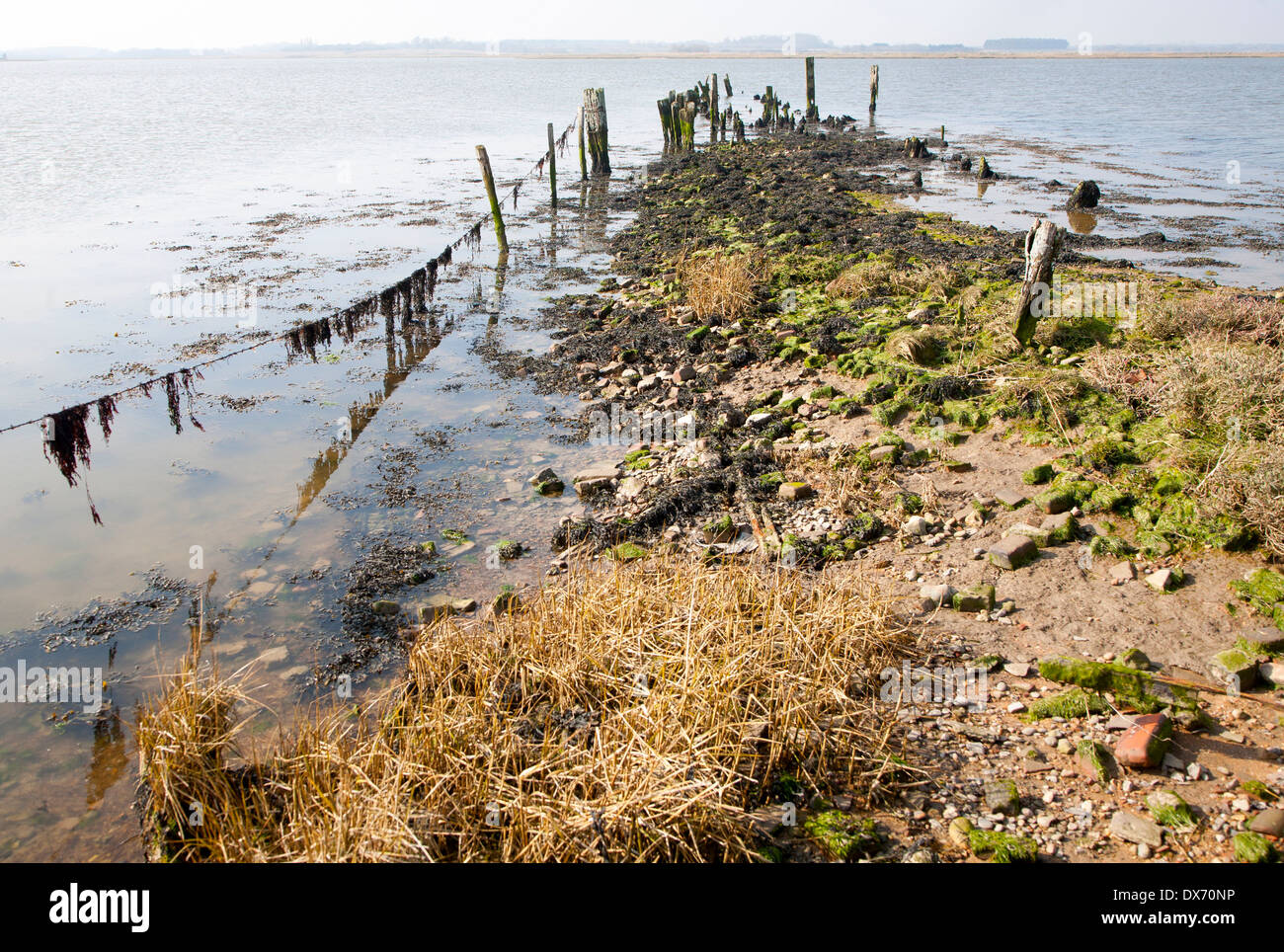 Shoreline of River Alde at Brick Dock near Aldeburgh, Suffolk, England ...