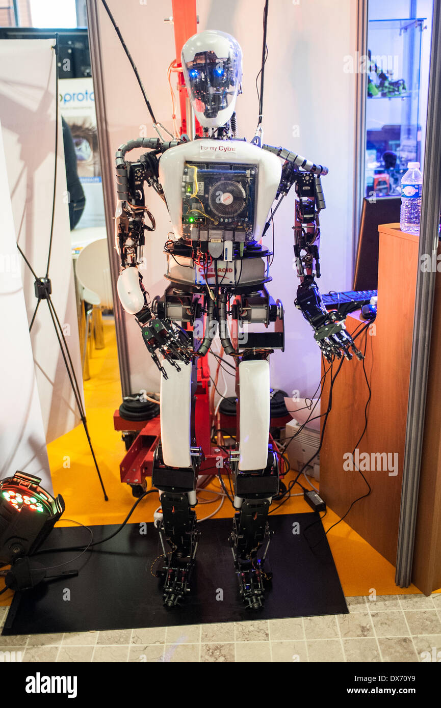 Lyon, France - 19 March 2014: ARIA robot by France Robotique is on ...