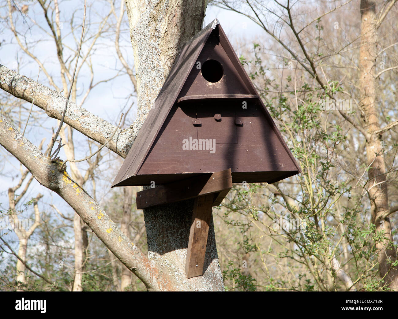 Owl box hi-res stock photography and images - Alamy