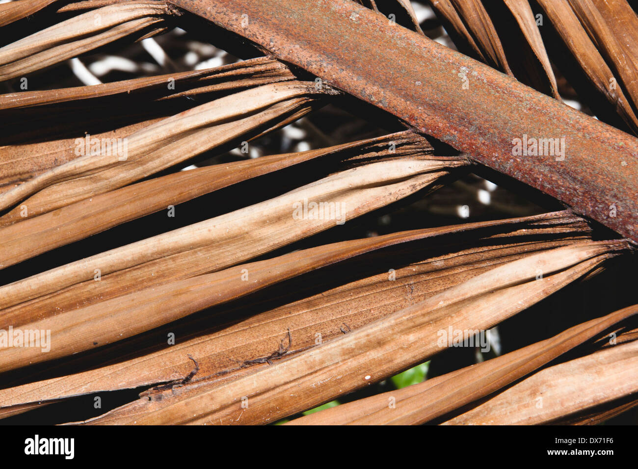 Decay textures patterns hi-res stock photography and images - Alamy