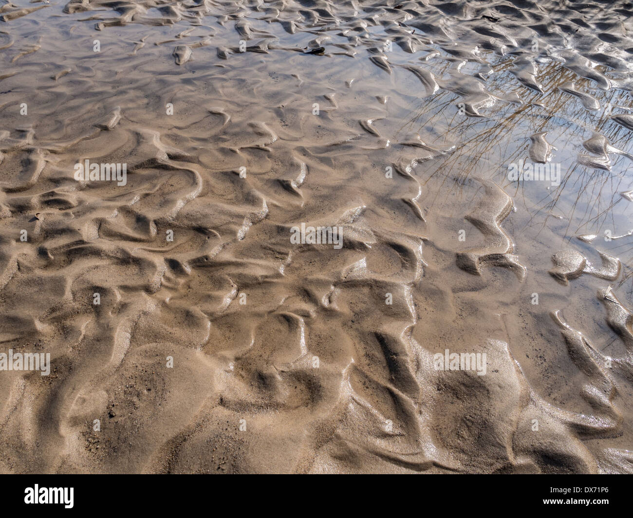 Water riverside texture hi-res stock photography and images - Alamy