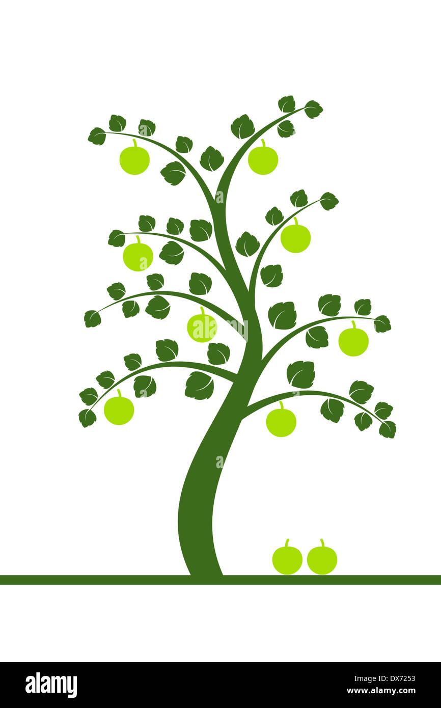 Beautiful apple tree isolated on white background Stock Photo - Alamy