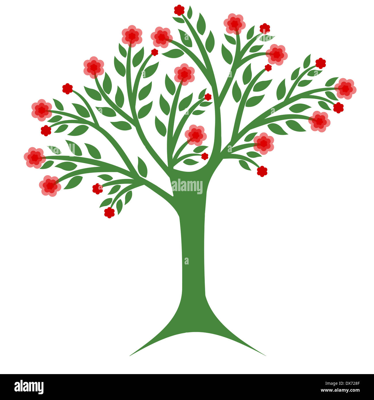 blossoms tree isolated on white background Stock Photo - Alamy