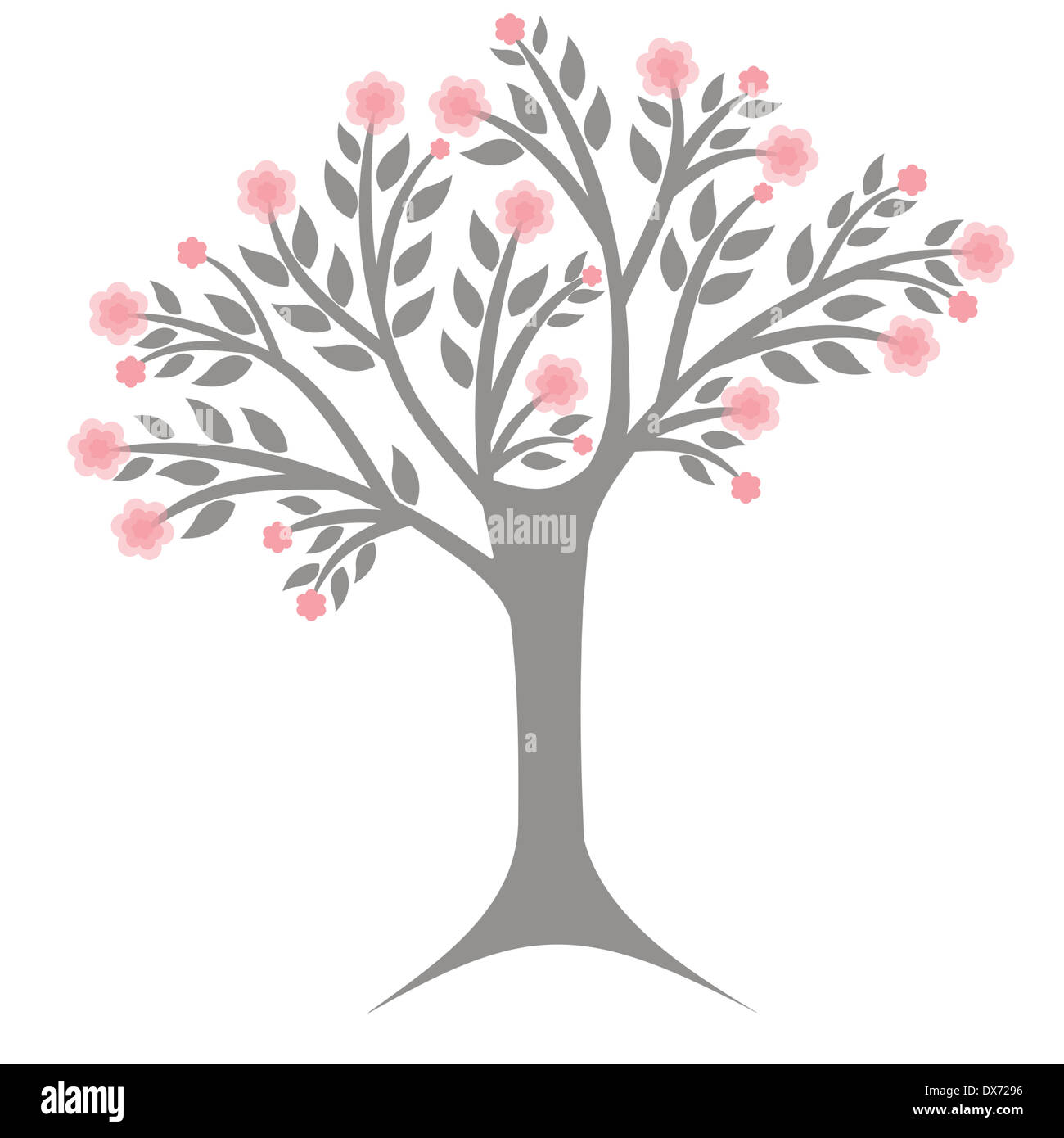 blossoms tree isolated on white background Stock Photo - Alamy