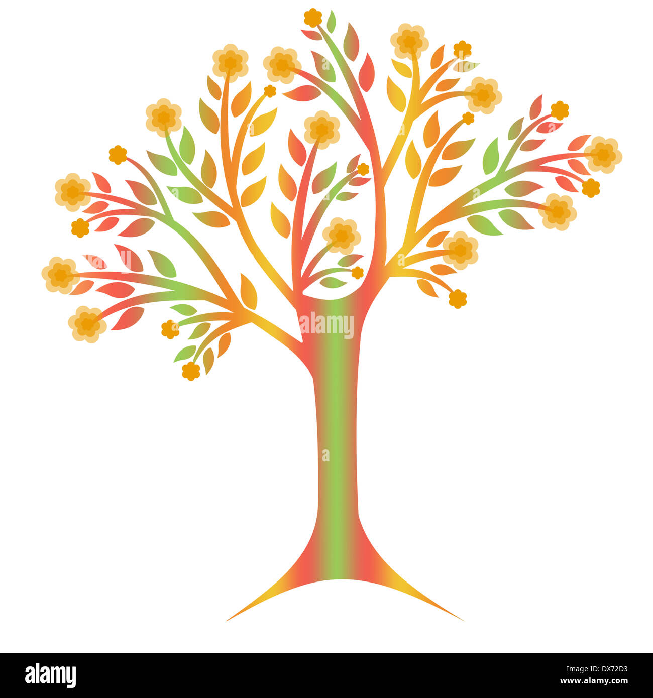 blossoms tree isolated on white background Stock Photo - Alamy