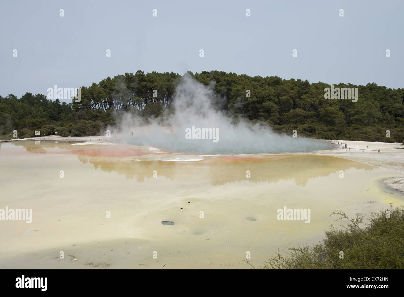 Wai-O-Tapu Thermal Wonderland. Artist's Palette. Overflowing water from ...