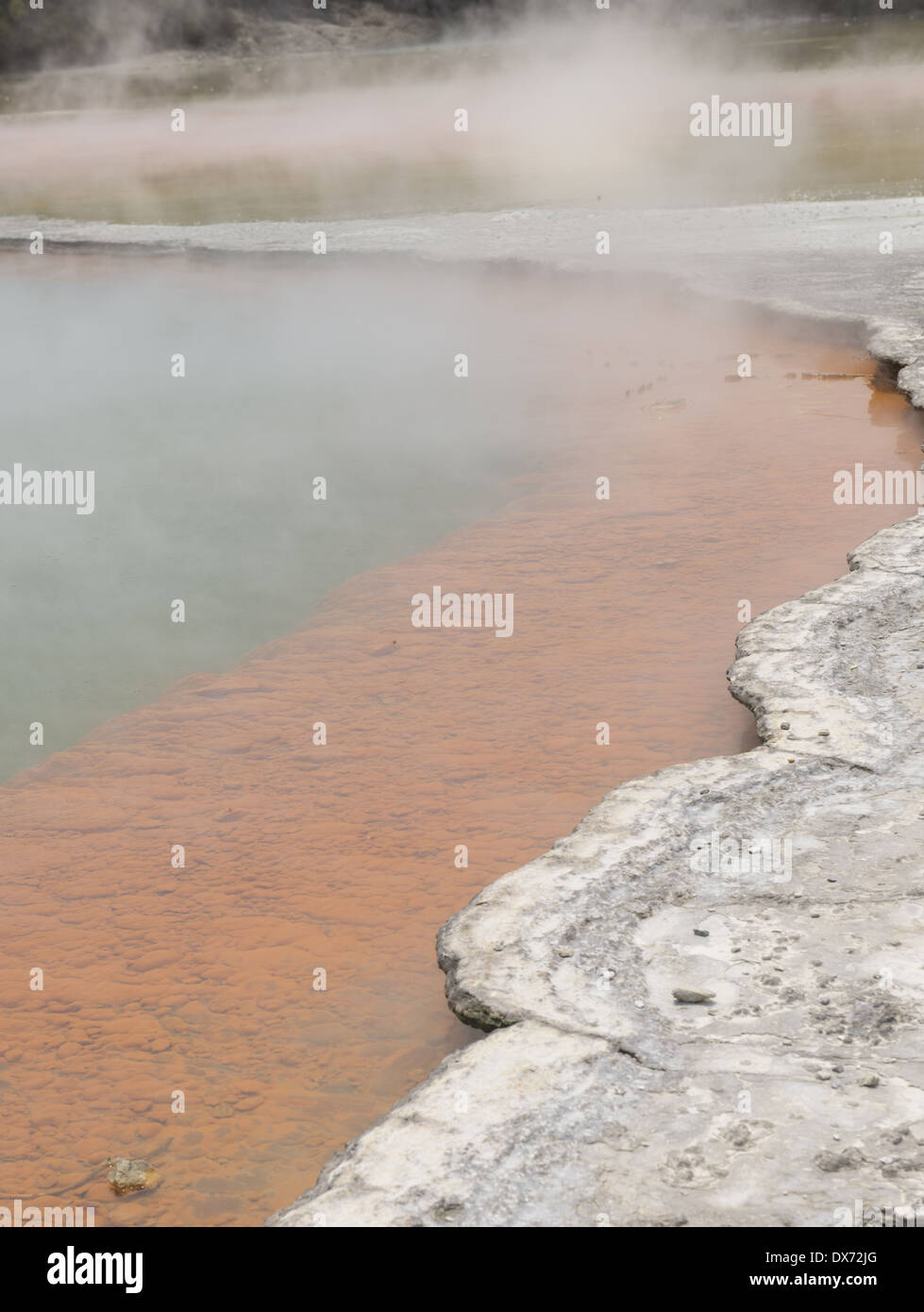 Wai-O-Tapu Thermal Wonderland. The Champagne Pool Stock Photo - Alamy