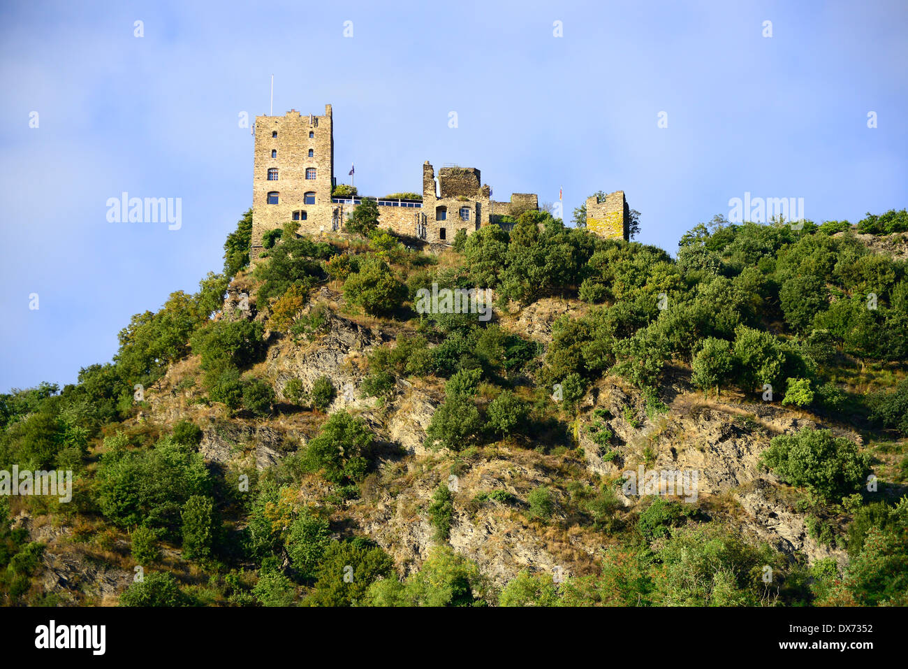 Liebenstein Castle Rhine River Valley Germany Europe Vineyards Wineries ...