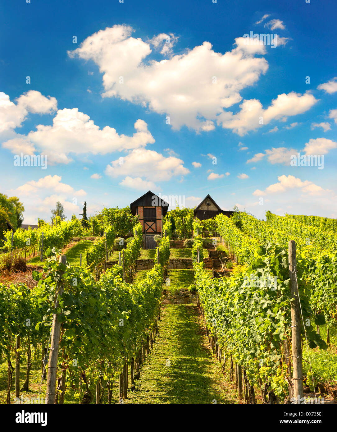 Winery building landscape hi-res stock photography and images - Alamy