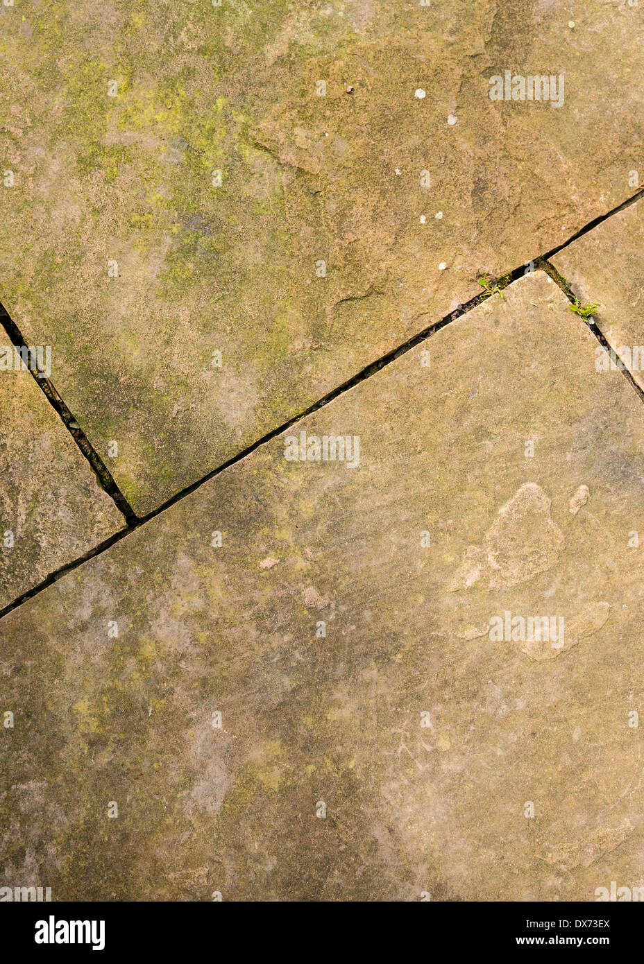 Semi-abstract stained cement paving stones with cracks forming ...
